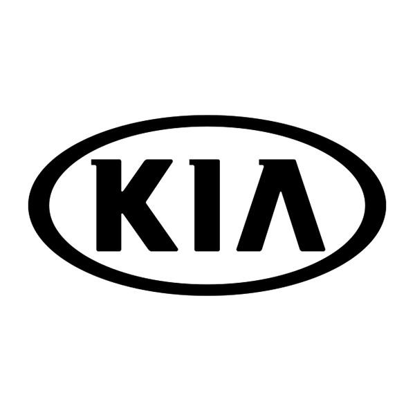 KIA heavy-duty cargo netting – tagged "Ambulance barrier net" – Raingler