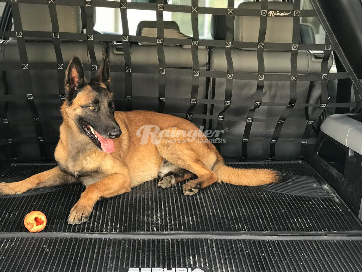 2010 - Newer Toyota 4Runner 5th Gen (N280) Behind Rear Seats To Floor ...