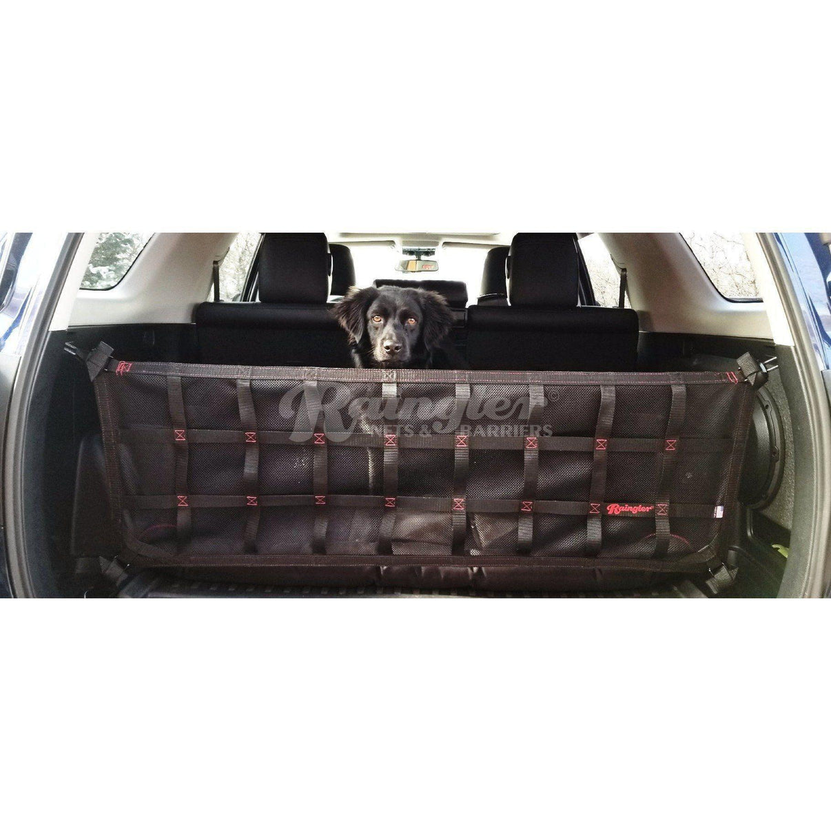 2010 - 2024 Toyota 4Runner 5th Gen (N280) Tailgate Net – Raingler