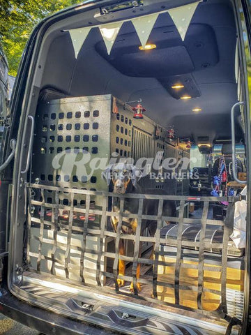 SPRINTER VAN heavy-duty cargo netting – Raingler