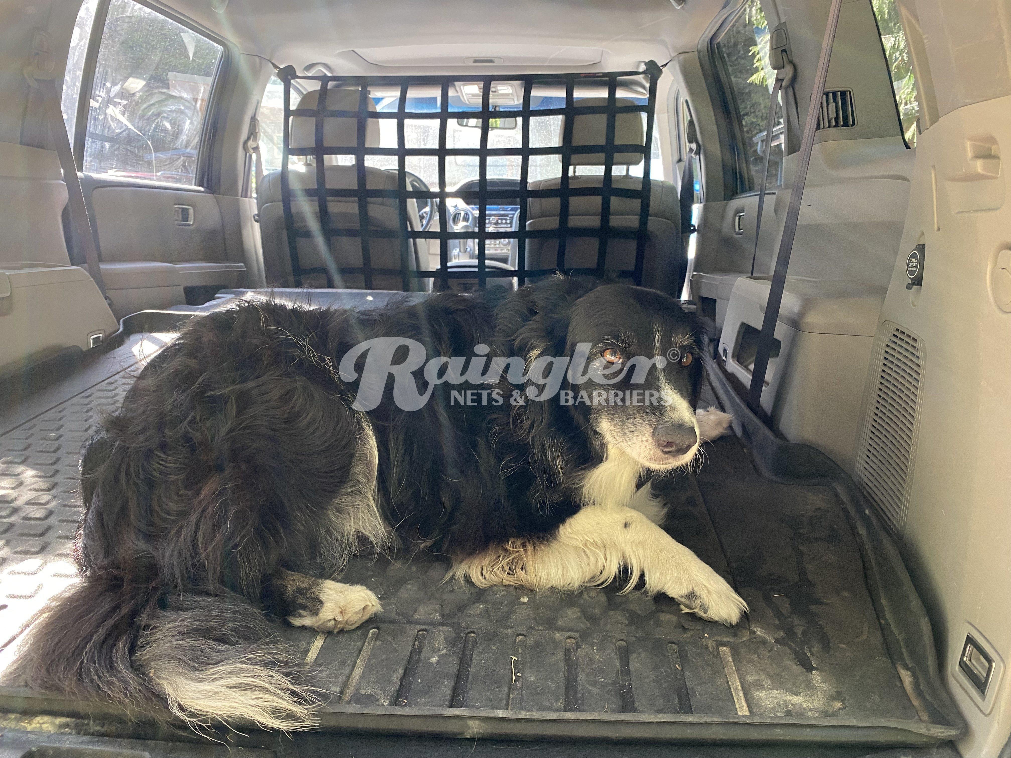 2009 - 2015 Honda Pilot Behind Front Seats Barrier Divider Net · Raingler